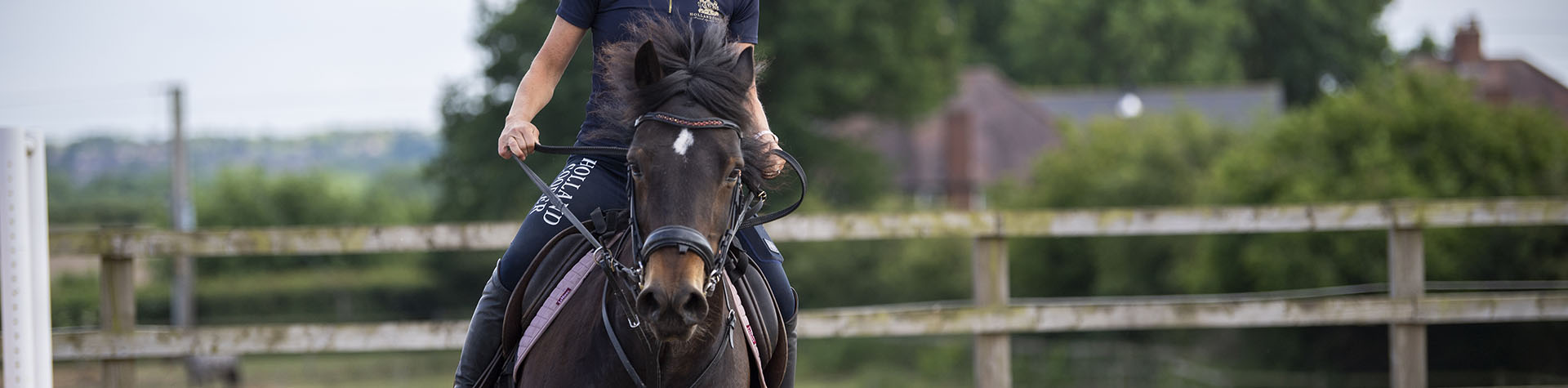 Horse Riding Lessons | Upper Hattons | West Midlands
